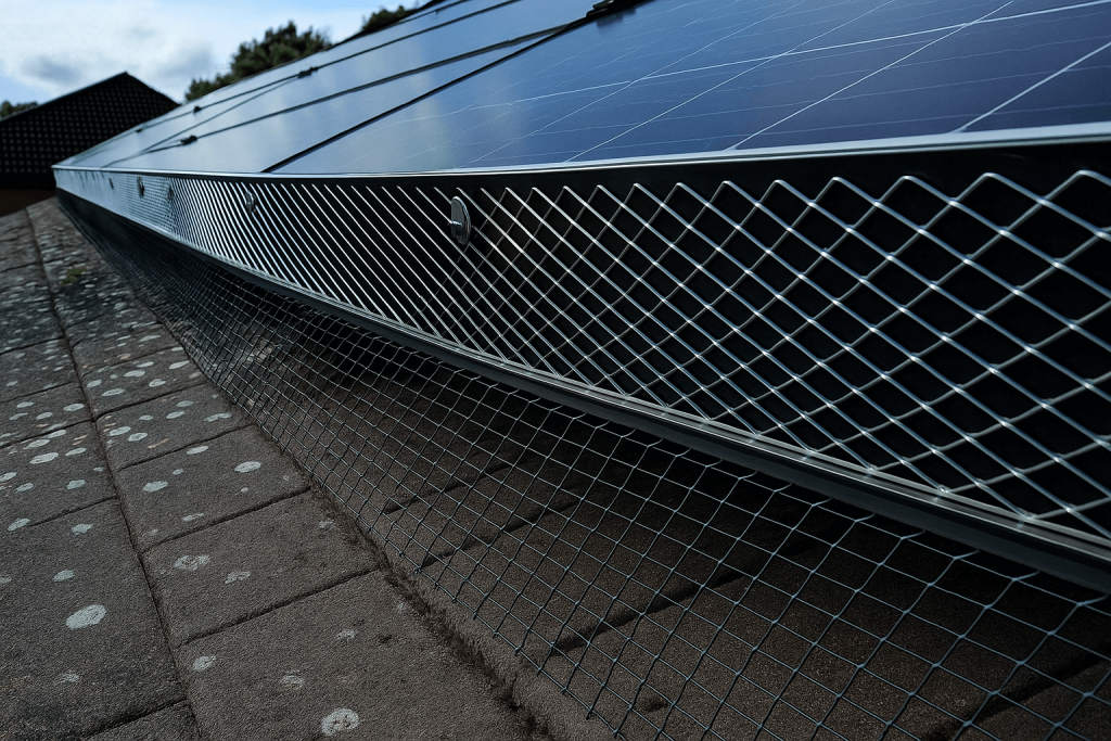 Bird Proofing Wakefield | Effective Bird Removal & Deterrant